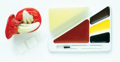 Devil Makeup Kit - Spirithalloween.com