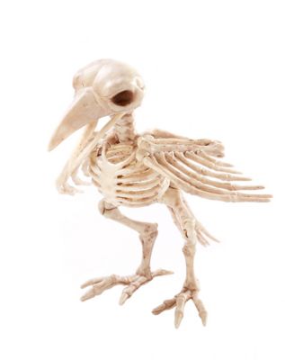 Skeleton Crow - Spirithalloween.com
