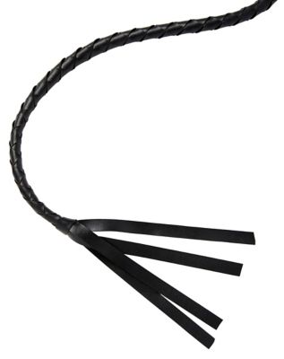 Braided Whip - Spirithalloween.com