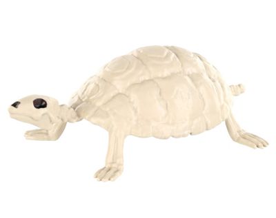 Skeleton Turtle - Decorations - Spirithalloween.com