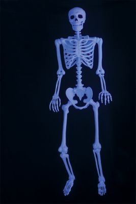 5 Ft Black Light Pose 'N' Stay Skeleton - Spirithalloween.com