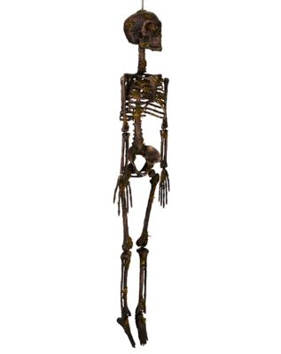 Moss Skeleton - Spirithalloween.com
