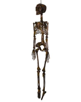 Moss Skeleton - Spirithalloween.com