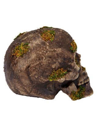 Moss Skull - Spirithalloween.com