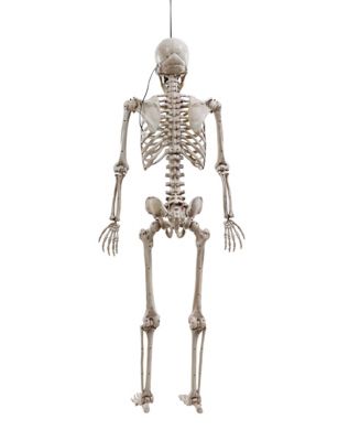 5 Ft Poseable Digieye Skeleton - Spirithalloween.com