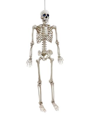 5 Ft Poseable Digieye Skeleton - Spirithalloween.com