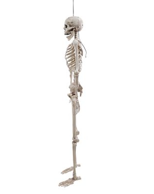 5 Ft Poseable Digieye Skeleton - Spirithalloween.com