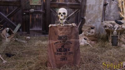 3 Ft Bag O’ Bones Animatronic - Spirithalloween.com
