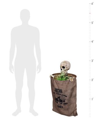 3 Ft Bag O’ Bones Animatronic - Spirithalloween.com
