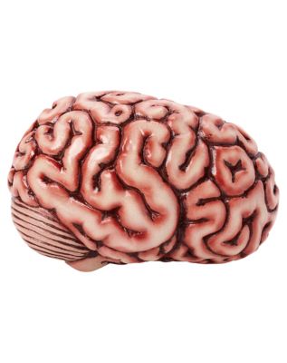 Brain Prop - Spirithalloween.com