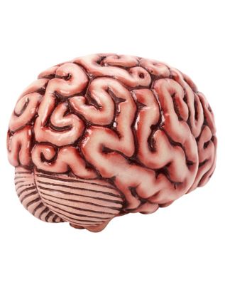 Brain Prop - Spirithalloween.com
