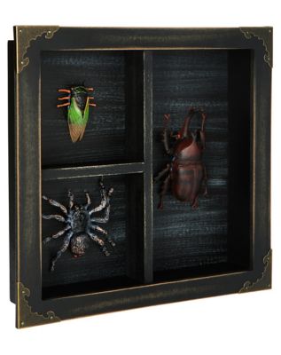Mystical Arts Insect Sign - Spirithalloween.com