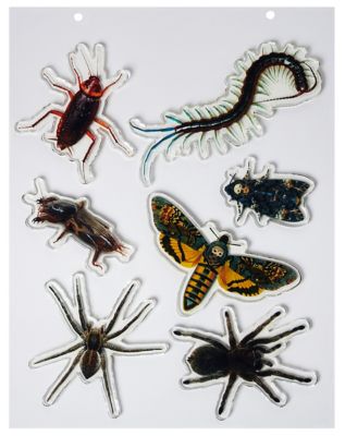 Bug Gel Clings - 2 Pack - Spirithalloween.com