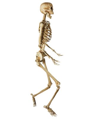 5 Ft Poseable Decayed Skeleton - Spirithalloween.com