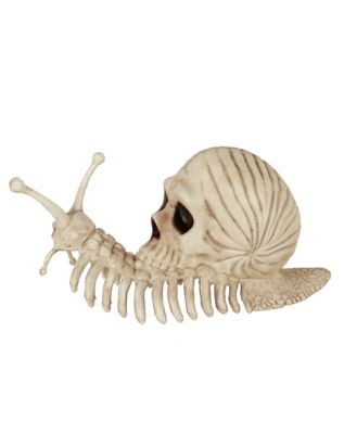 Skeleton Skull Snail - Spirithalloween.com