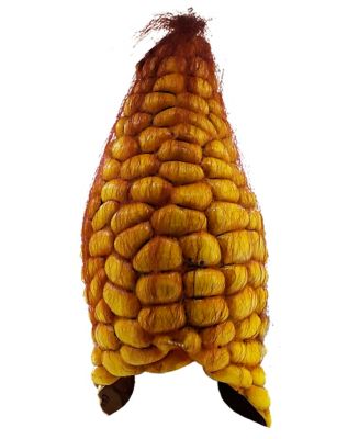 Evil Corn Mask - Spirithalloween.com
