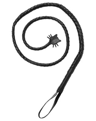 Catwoman Whip- DC Villains - Spirithalloween.com