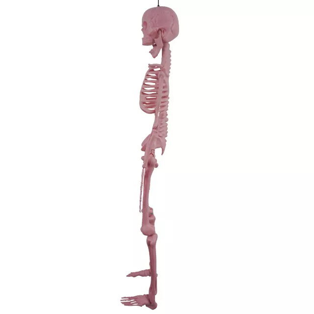 Pink Skeleton - 36 Inches - Spirithalloween.com