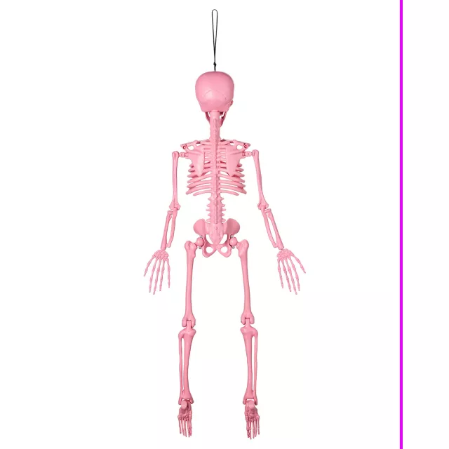 Pink Skeleton - 36 Inches - Spirithalloween.com
