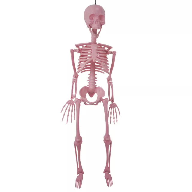 Pink Skeleton - 36 Inches - Spirithalloween.com