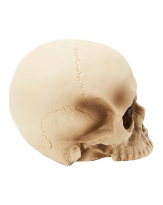 Jawless Skull Set - 3 Pack - Spirithalloween.com