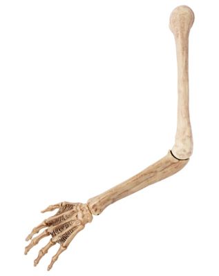 Skeleton Arm Prop - 2023 Spirit Hallows Cemetery - Spirithalloween.com