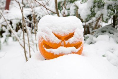 How to Keep the Halloween Spirit Alive All Year - Spirit Halloween Blog
