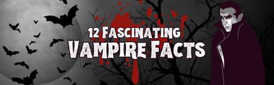 12 Fascinating Vampire Facts - Spirit Halloween Blog